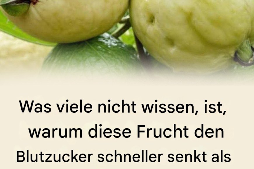 Entdecke die Kraft dieser wundersamen Frucht. - Rezepte